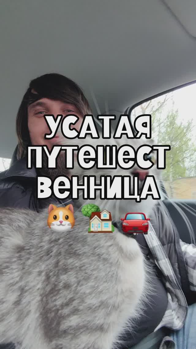 Сергей и Алиса | История двух сердец | Мисти | Усатая путешественница