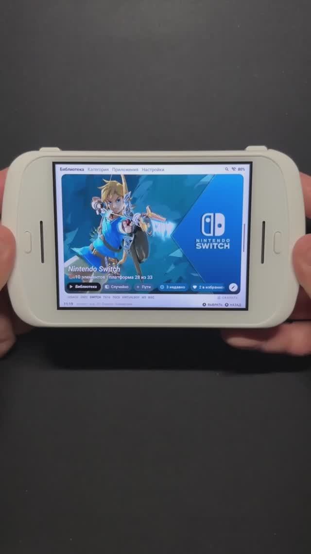 Switch Game - Anberbic RG Slide #anbernic #rgslide #switch