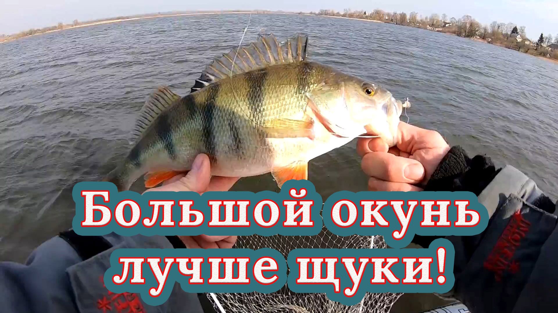 Красивый окунь лучше Щуки! Рыбалка на спиннинг на озере весной.