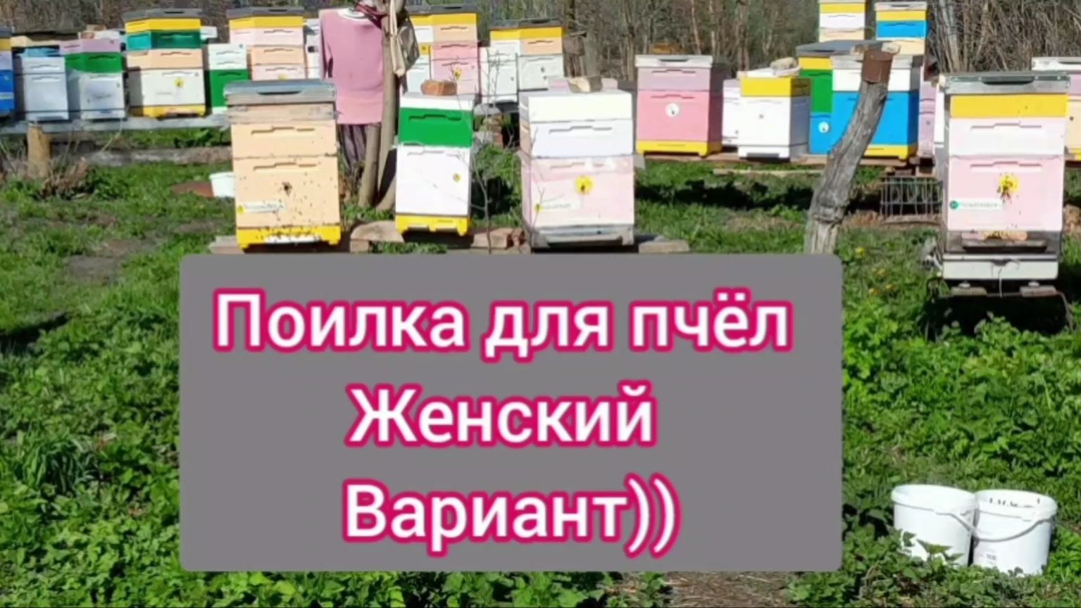 Поилка для пчёл.Женский вариант)