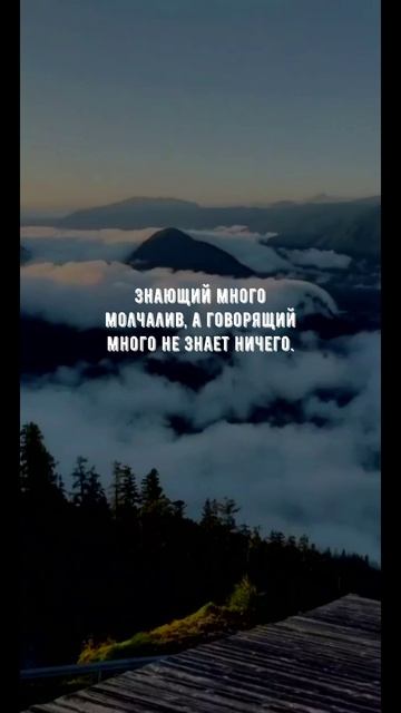 #1063 Цитата дня. Мотивация.