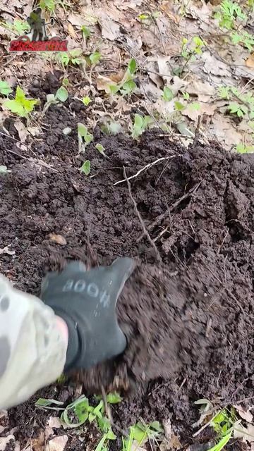 Коп как обычно он бывает
