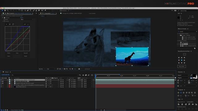 19 - Adjustment Layers