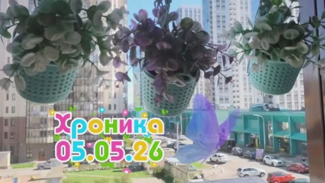 05.05.26☘️Приобретение фитолампы-фотосинтез взят!!! ☘️