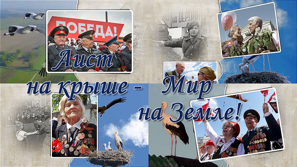 Аист на крыше - Мир на Земле!  | Бесплатный проект | Free project | ProShow Producer