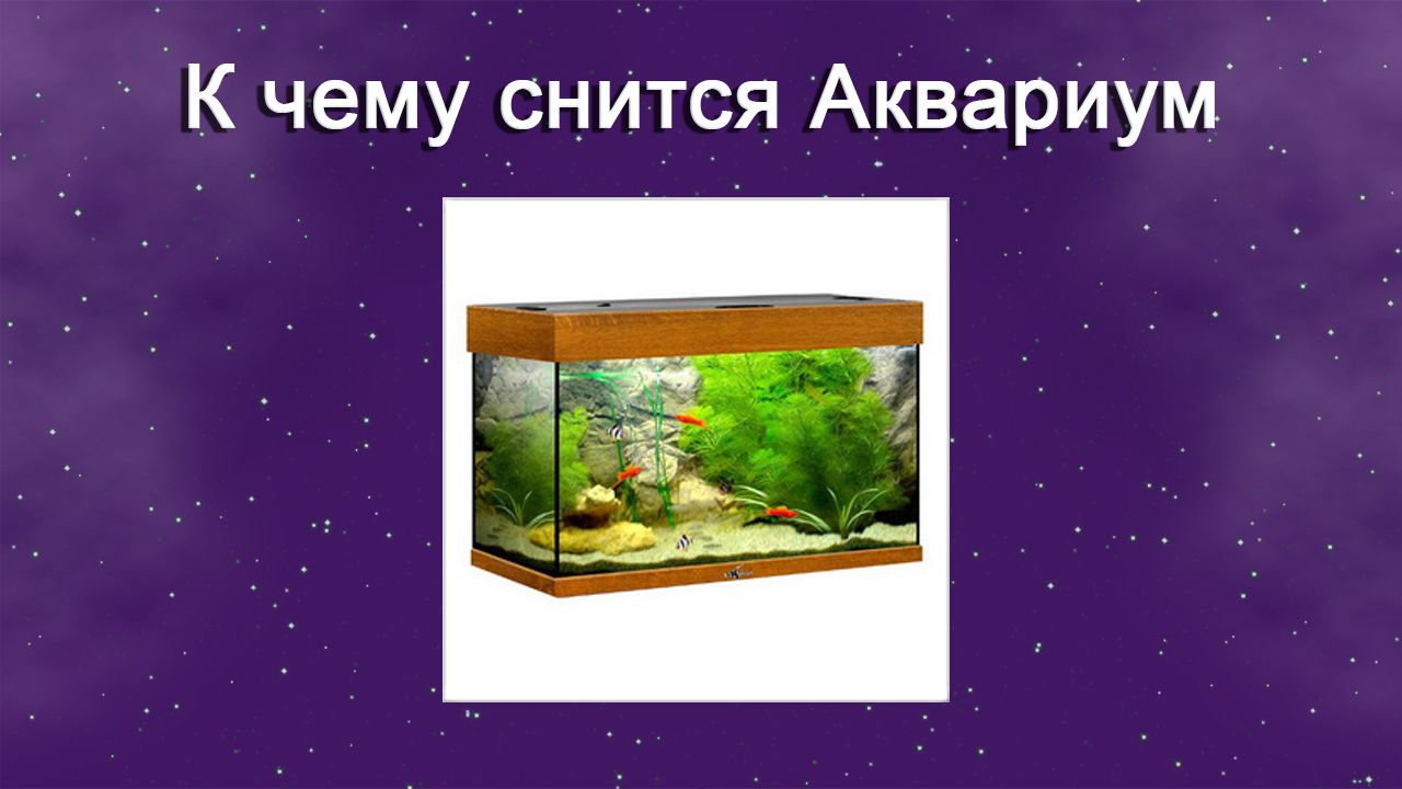 К чему снится Аквариум - толкование сна