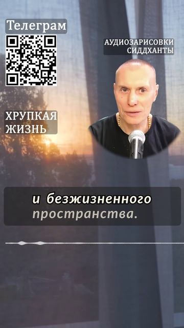 Хрупкая жизнь. Аудиозарисовки Сиддханты (Вячеслава Чернина)