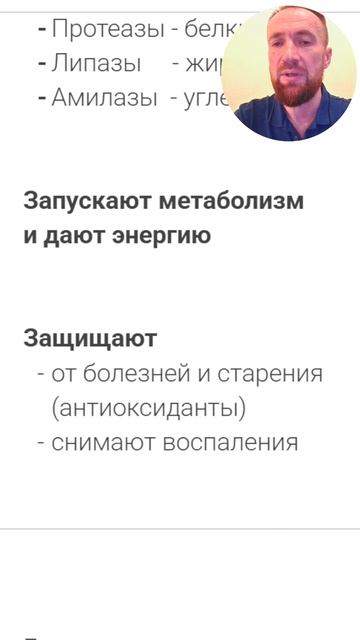 Ферменты энзимы в жизни человека
