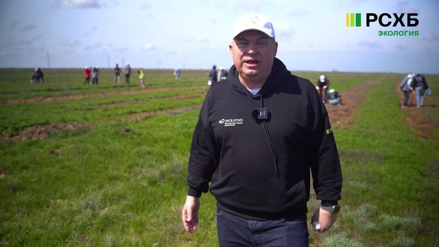 18 апреля 2026 г. Фонд "Экология" высадил 12 тыс. саженцев вяза в Волгоградской области