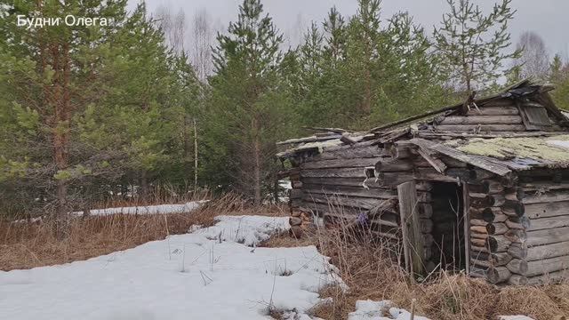 Поход на лодке. Вот это находка, первый раз в моей жизни! 02.05.26