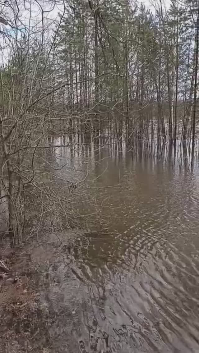 Половодье. Видеоролик 3.