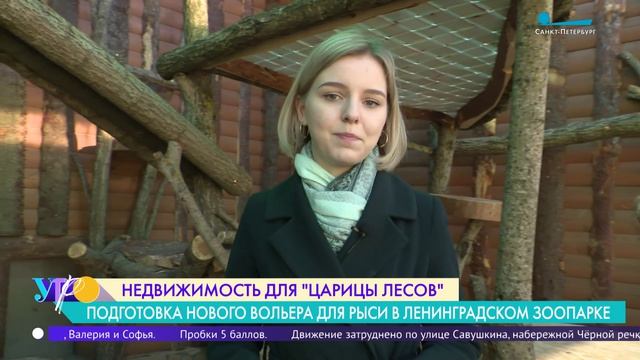 ПРЯМОЕ_ВИТЬКО_ЗООПАРК_[SOCIAL]