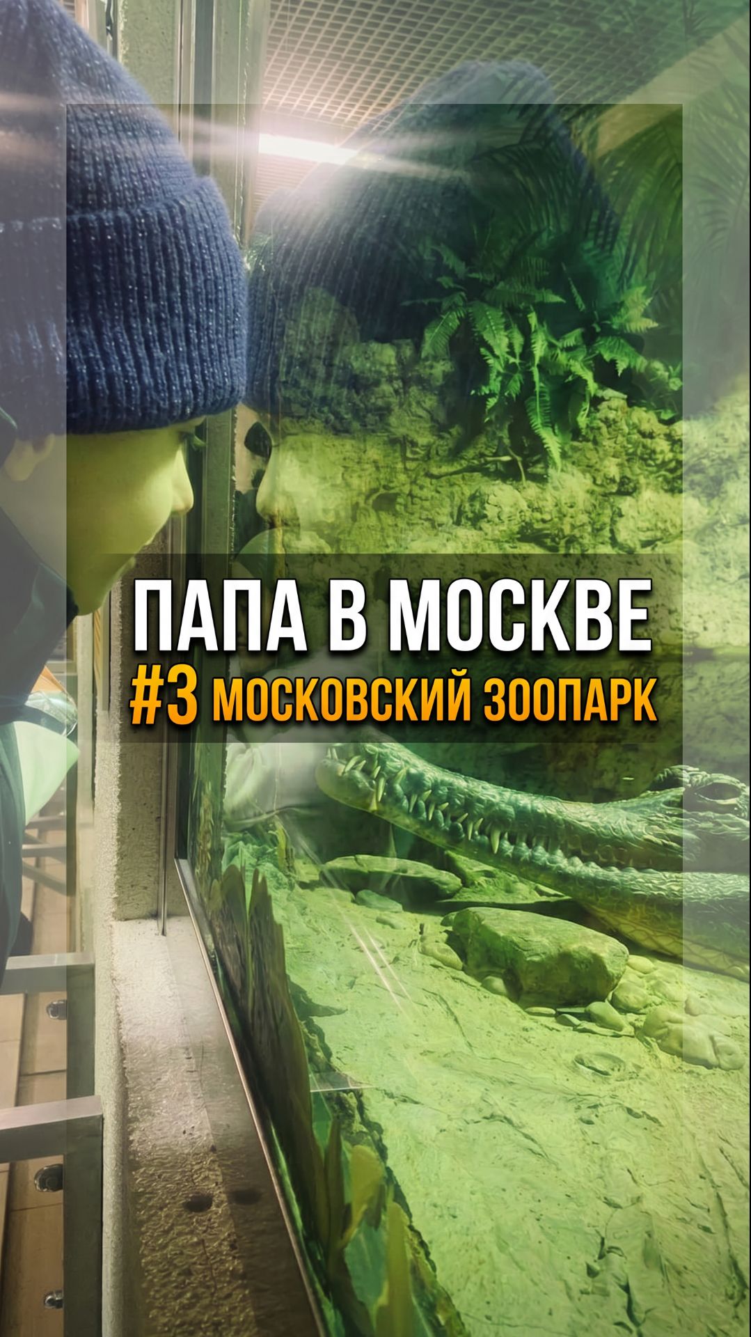 Застывшие хищники в Московском зоопарке