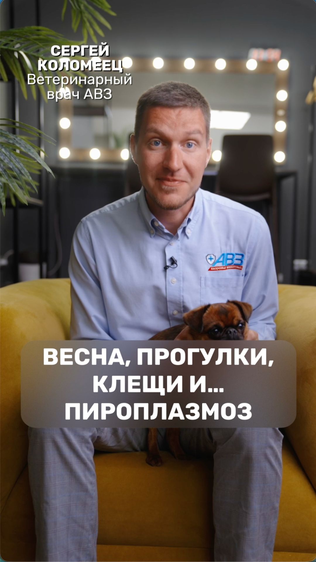 Весна, прогулки, клещи и... пироплазмоз