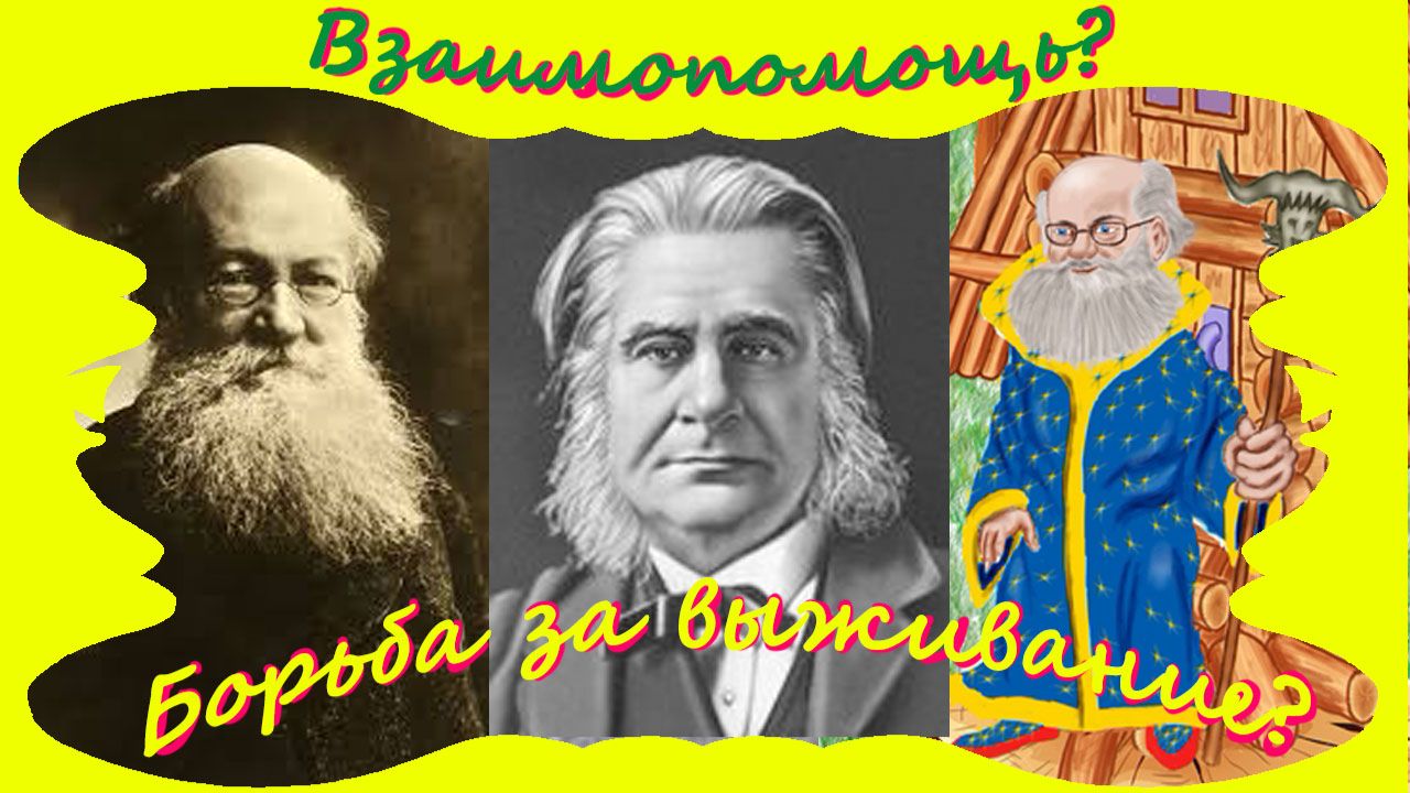 Взаимопомощь - или борьба за выживание?