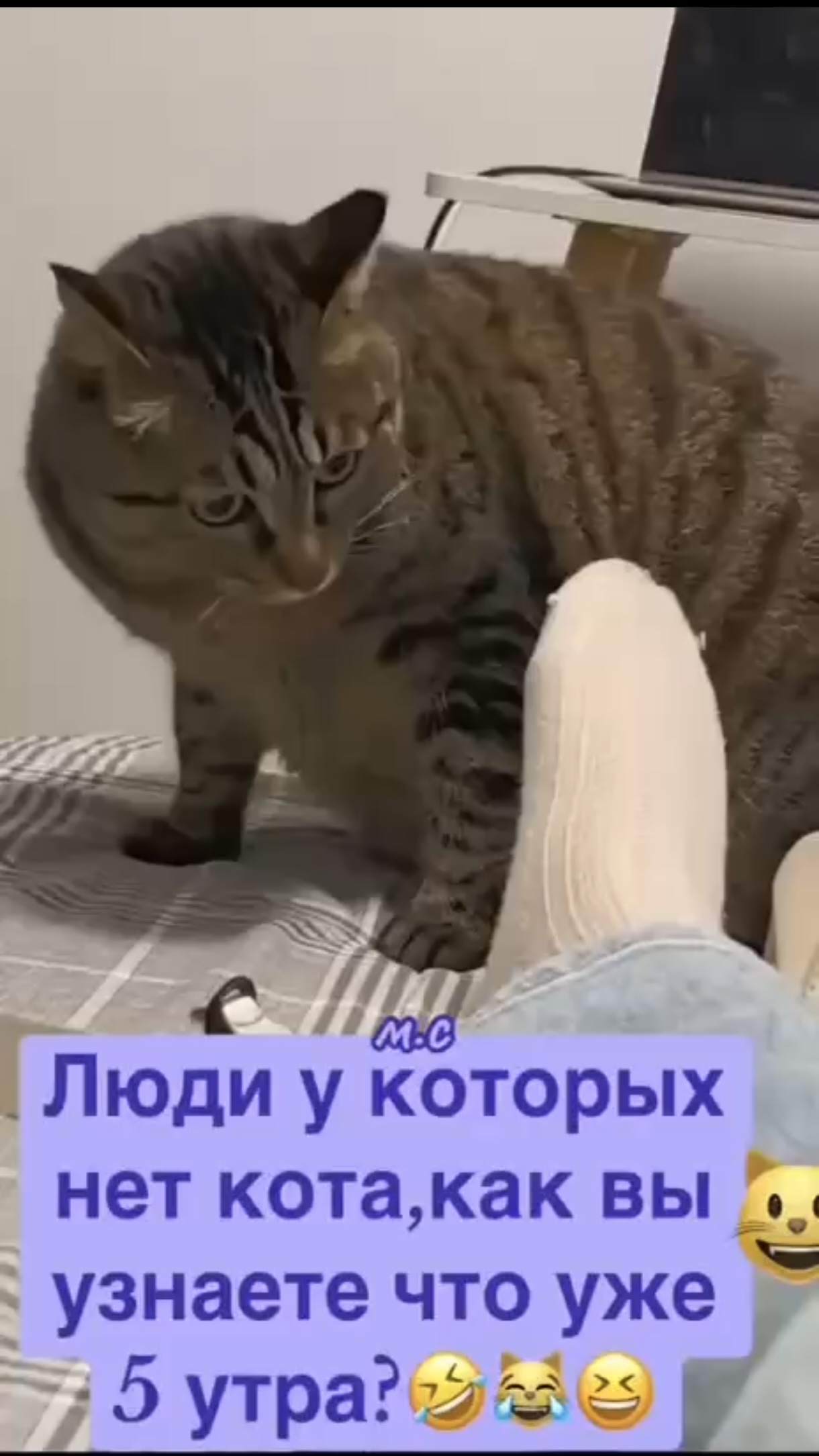 5 утра - пора 😼