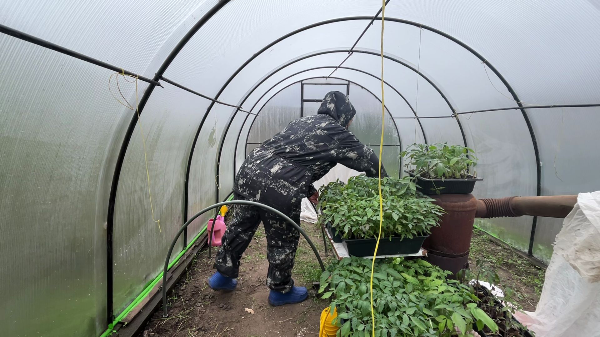 Посадили рассаду перцев🌶️Спасаем от морозов Аномальная погода❄️Учусь шить✂️Ремонт садовой тачки🛠️
