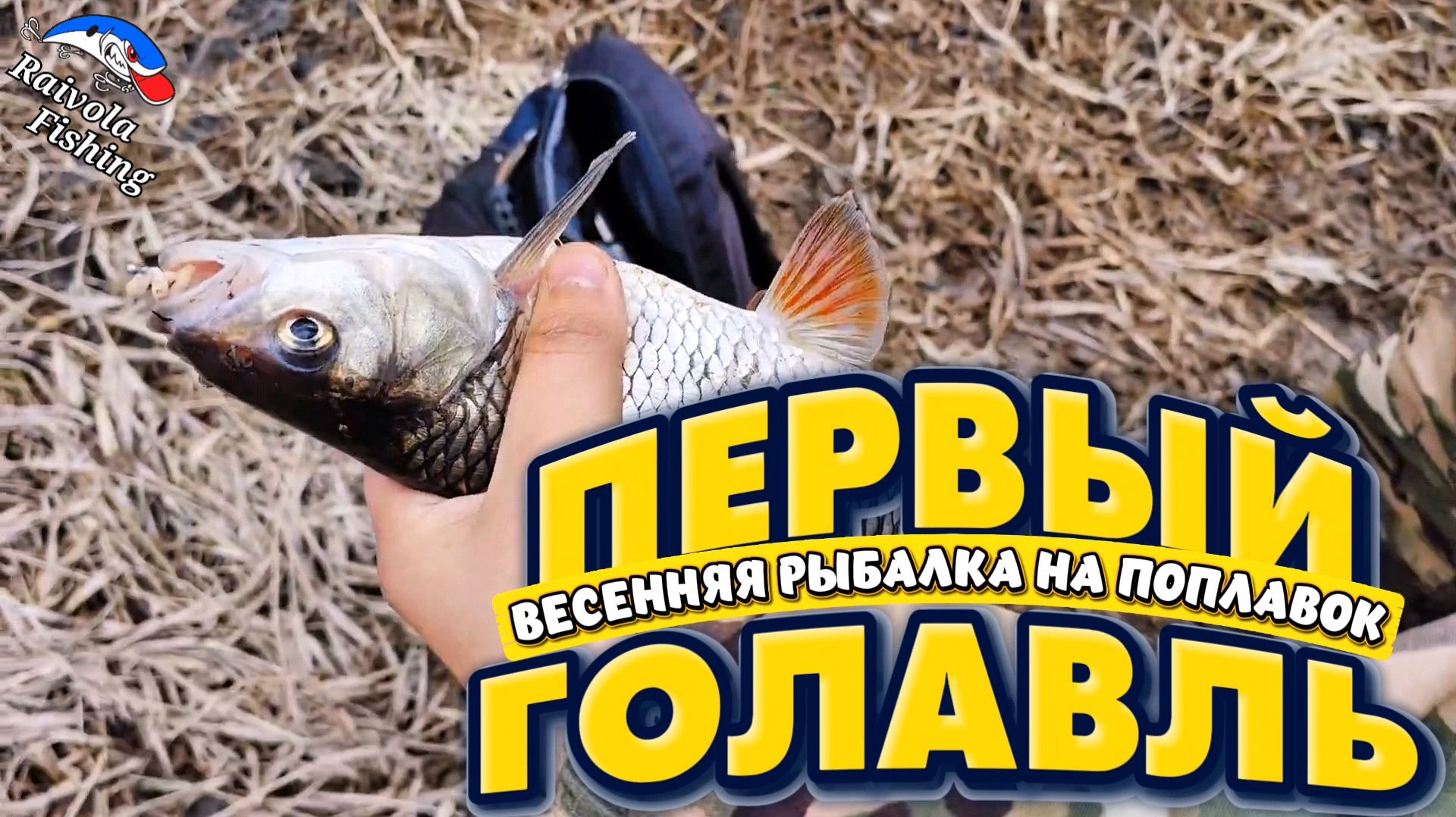 ПЕРВЫЙ ГОЛАВЛЬ! Весенняя рыбалка на поплавок. Ловим плотву на реке.