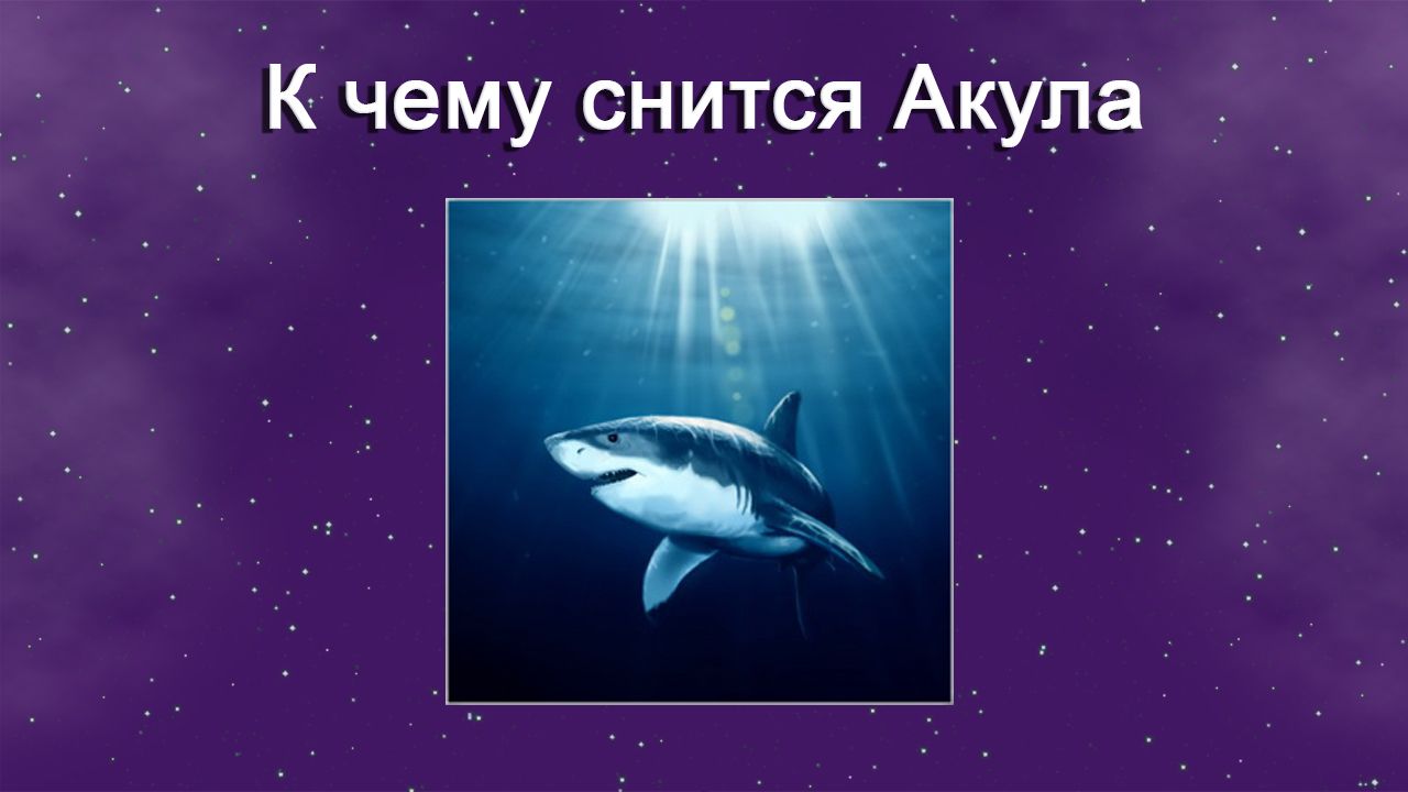 К чему снится Акула - толкование сна