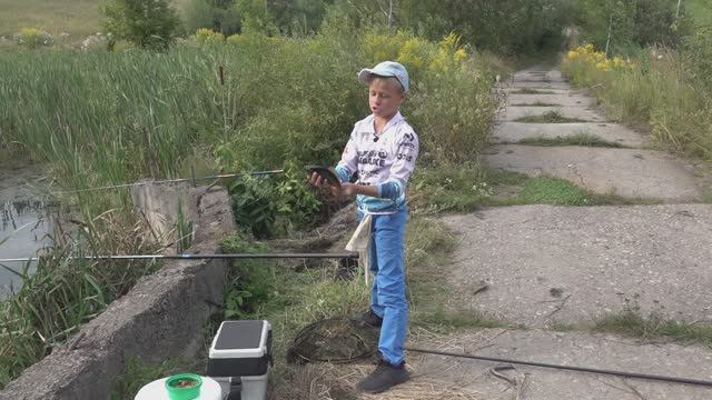 "КЛЁВОЕ ДЕТСТВО" Карась на болоте и наглая лиса. Егор Гришин