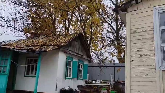 29 октябрь