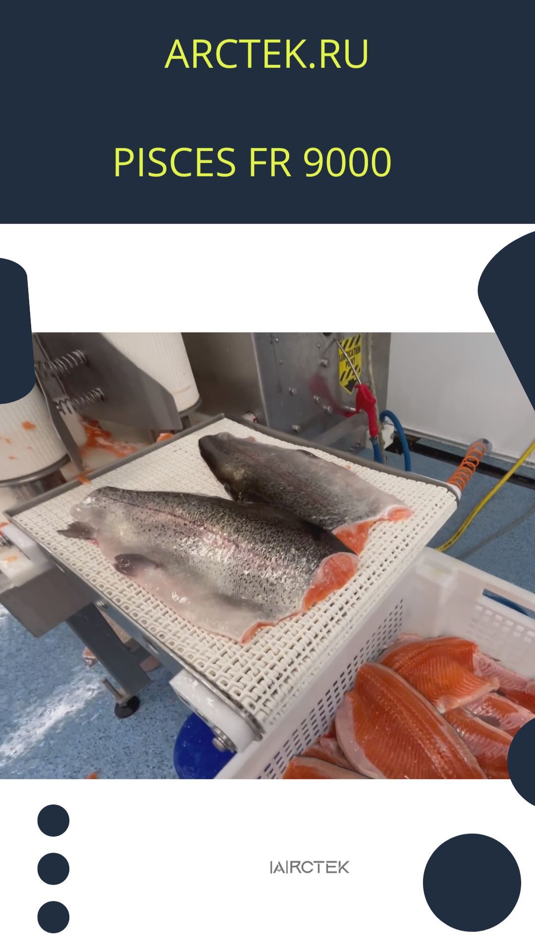 Производство филе форели на Pisces FR 9000
