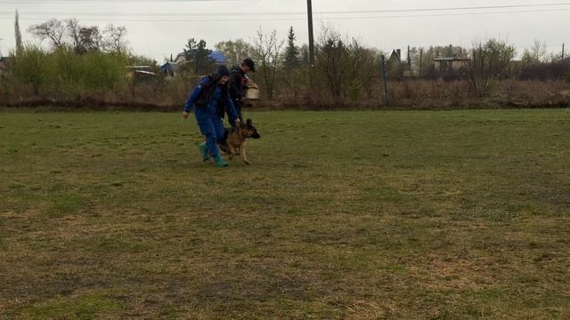 3.  выражено/пож АЛЛЕМО ХАУС У-РИЗ (Chiko v. Haus Boccia – Rimini del Castello Fienga)