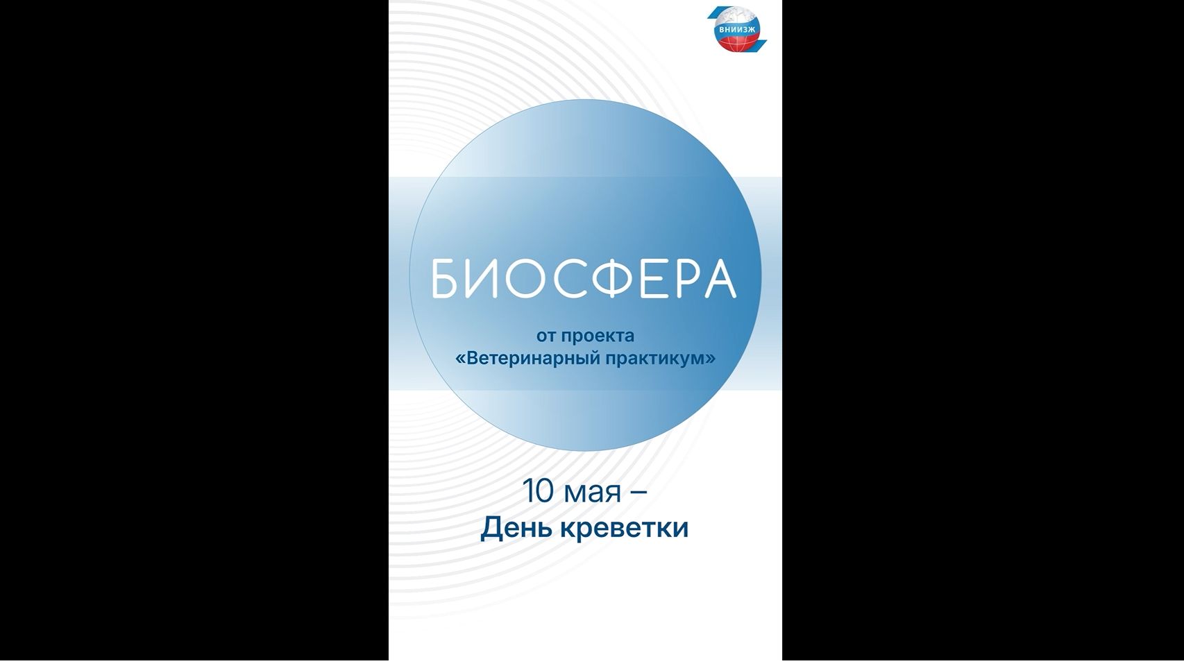 Как проверяют качество креветок?