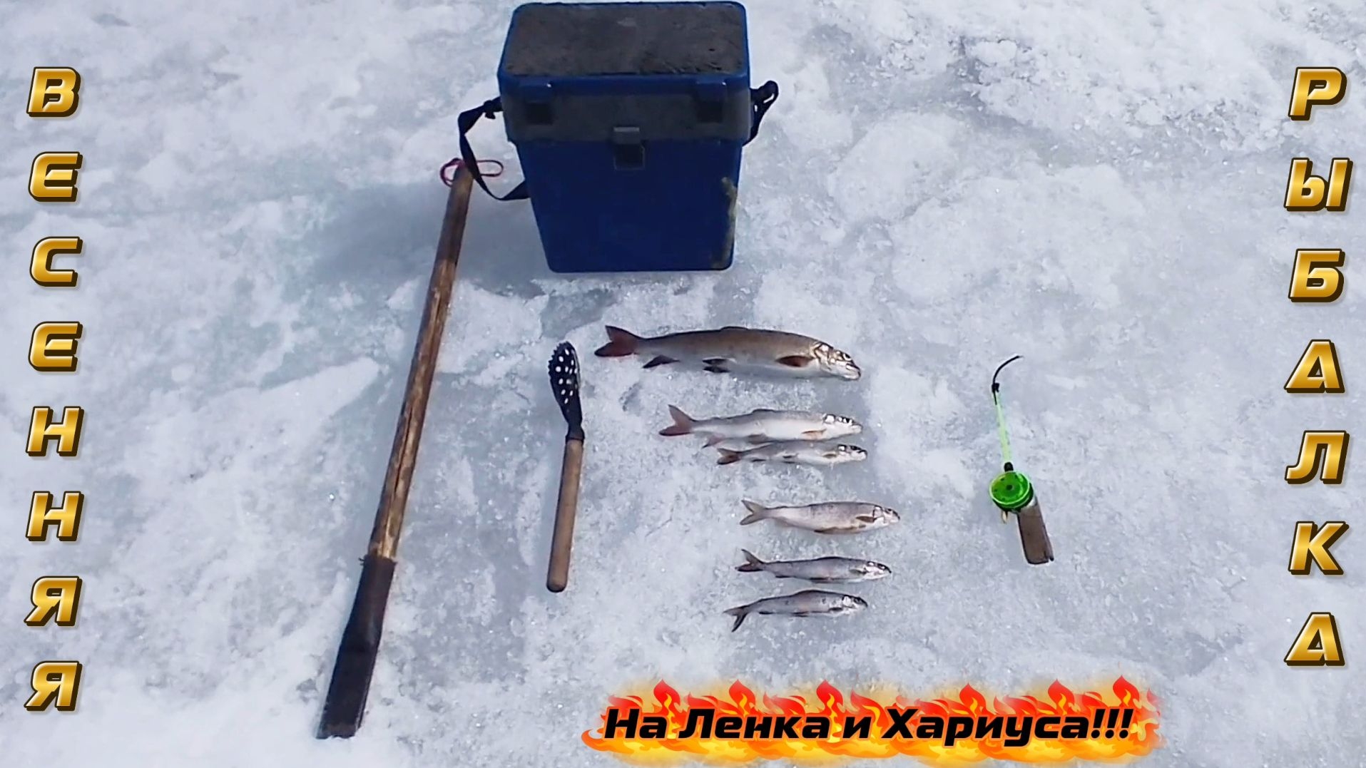 Рыбалка на Севере. Восьмой день! Хариус. Ленок.