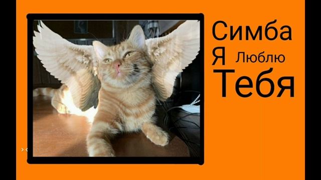 СИМБА Я ЛЮБЛЮ ТЕБЯ! #СИМБА #КЛИП #ПЕСНЯ