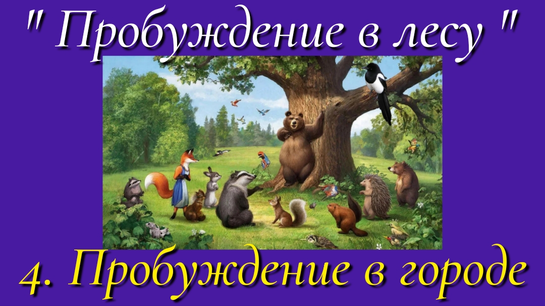4. Пробуждение в городе