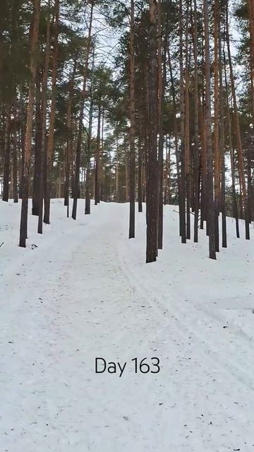 Тренировочная практика. День 163