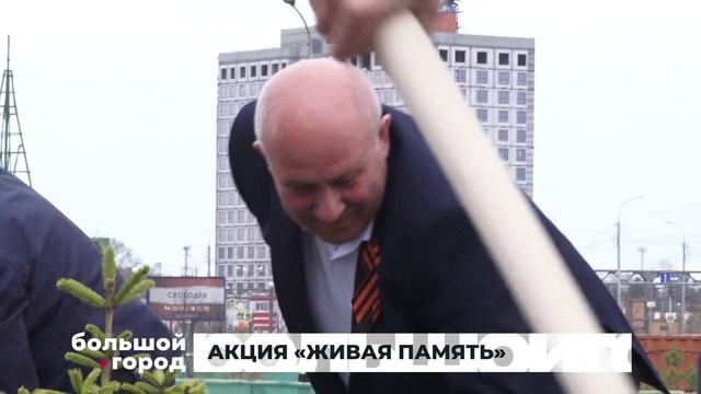 АКЦИЯ «ЖИВАЯ ПАМЯТЬ». Большой город 06/05/2026