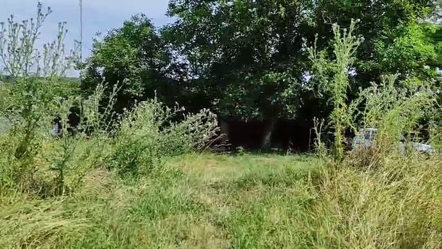 Видео от Людмилы Н
