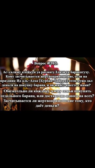 #вопросответ  #shorts   #ислам  #знание  #rmotvet  @RMotvet  #религия