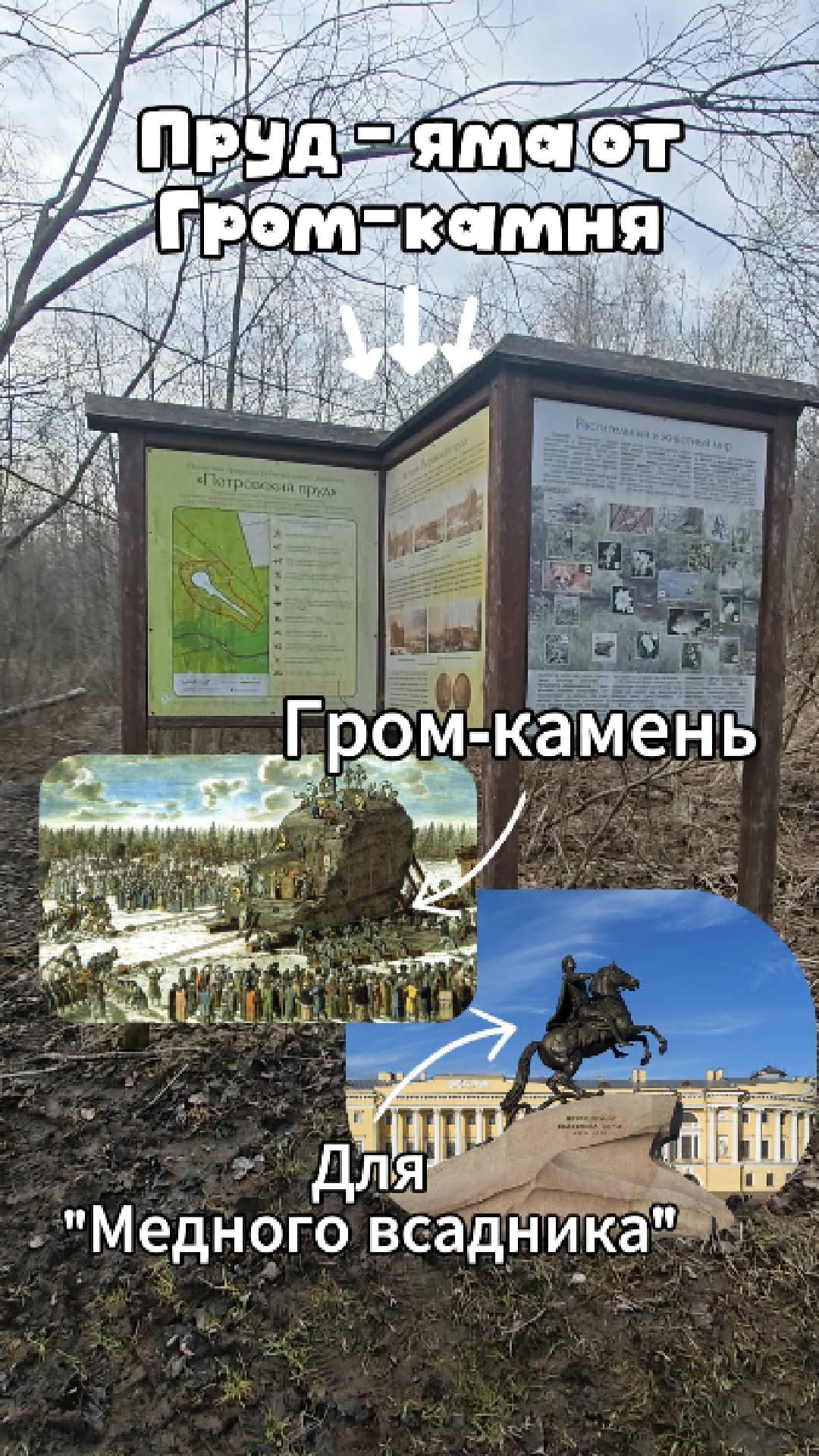 Петровский пруд — колыбель Гром-камня для Медного Всадника