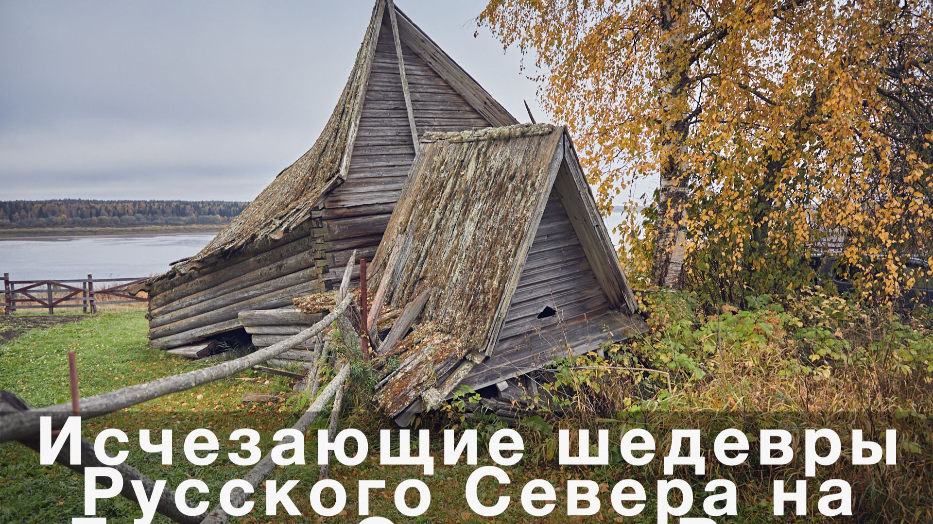 Исчезающие шедевры Русского Севера на Двине, Онеге и Ваге. Илья Дровнин