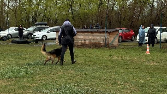 7.  выражено/перв МАРВИЛ ЮНИОН ЯЦЕРИЯ (Targus v. Frosten – Вип Арнас Янка)