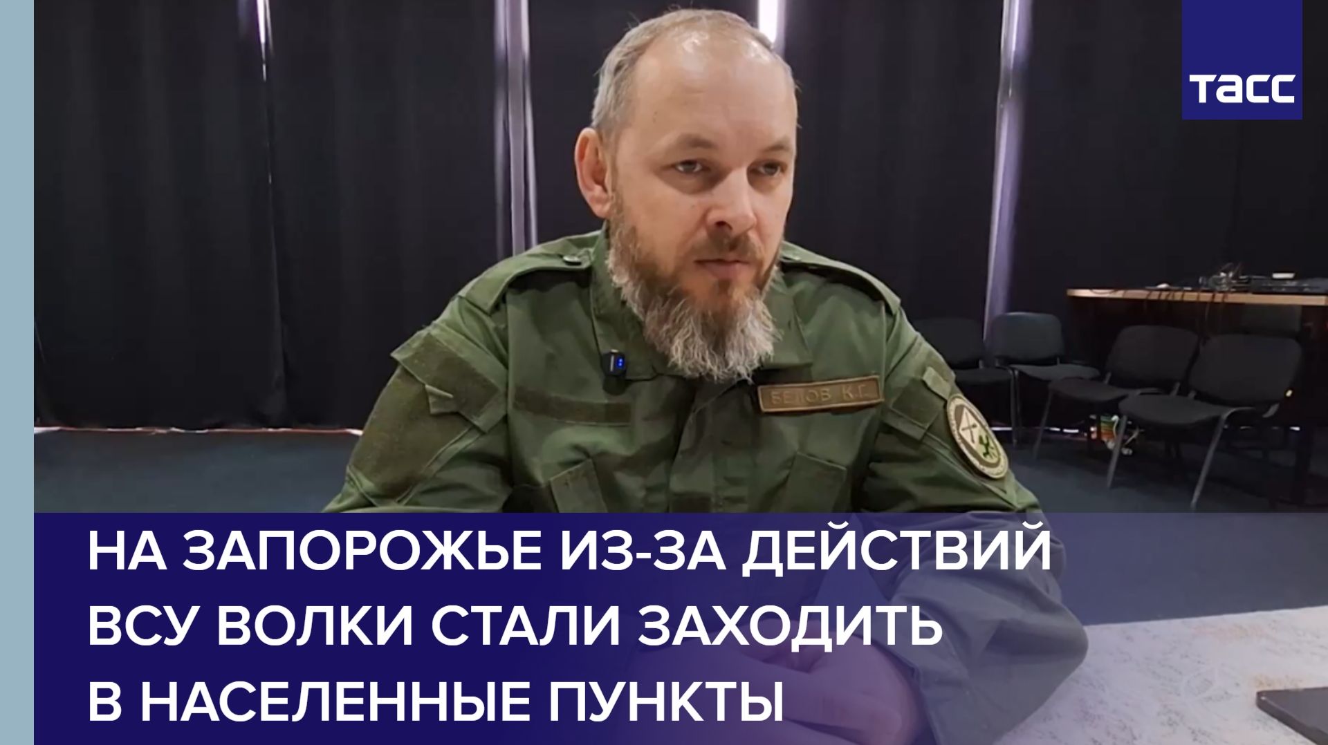 На Запорожье из-за действий ВСУ волки стали заходить в населенные пункты