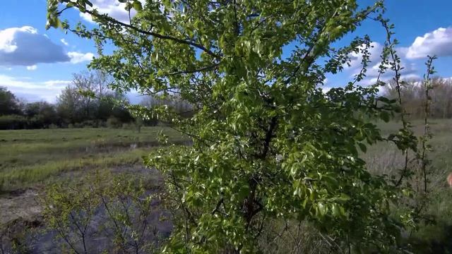 Прогулка по Подгоровке весна прийде