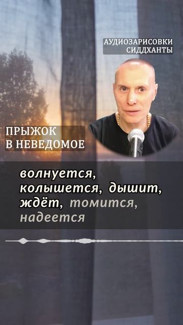 Прыжок в неведомое. Аудиозарисовки Сиддханты (Вячеслава Чернина)