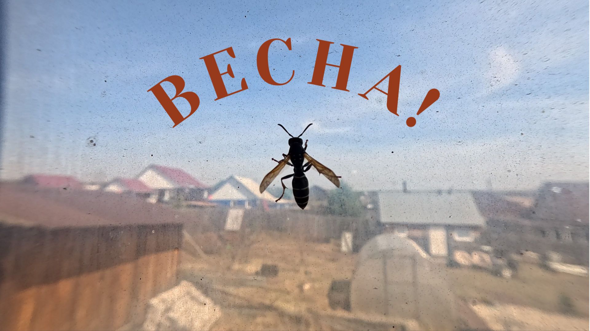 Природа просыпается и мы✋😃