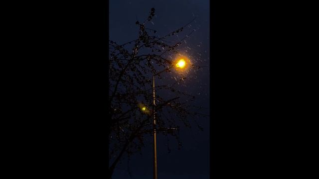"Бродит месяц"  _  Igor Korg & Олег Поварницын