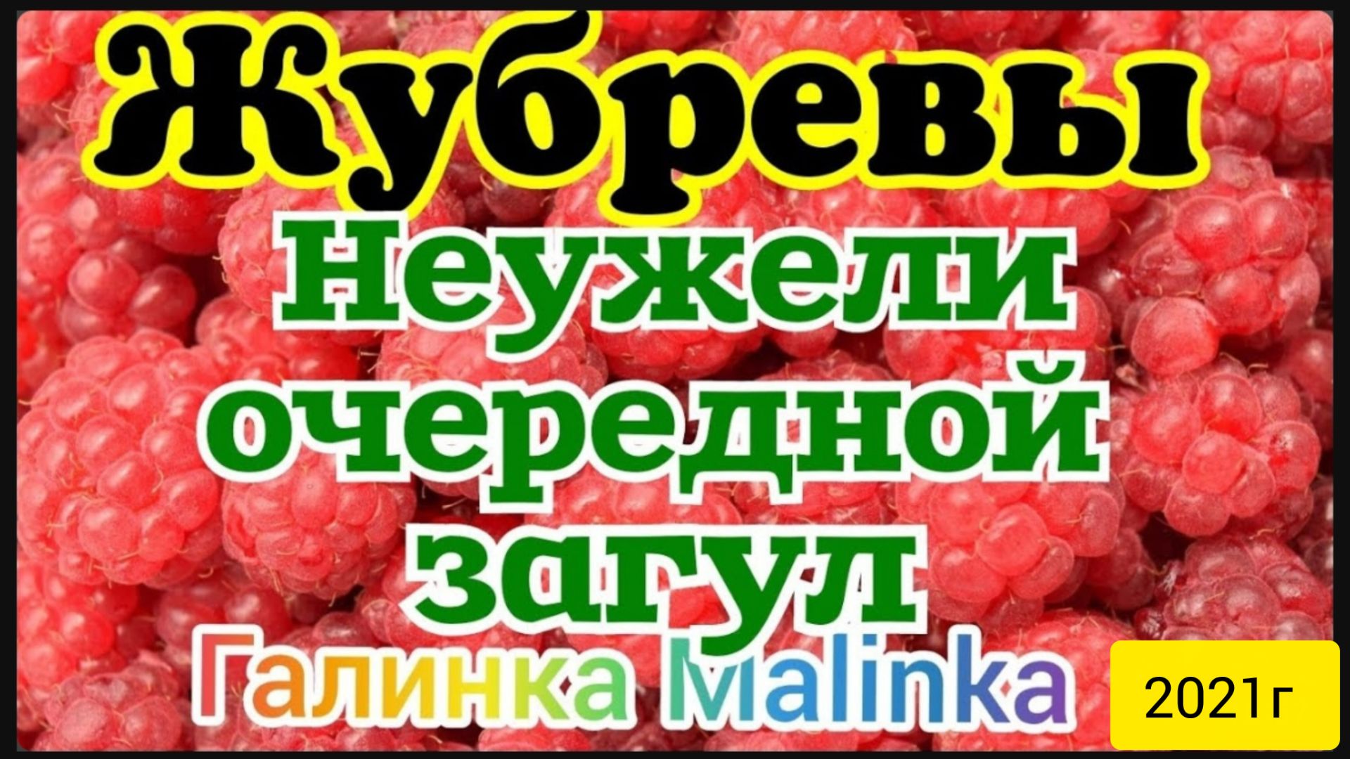 Жубревы Life Vlog _Обзор Влогов _Неужели очередной Загул_ _