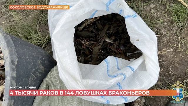 Ростов сегодня: дневной выпуск. 6 мая 2026