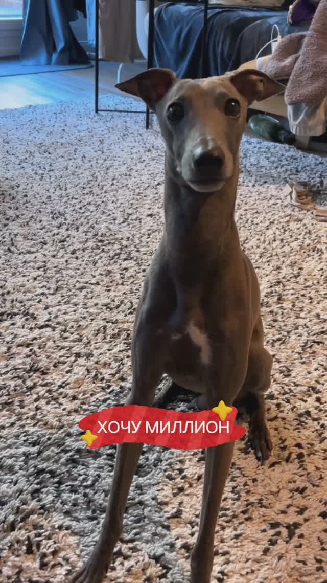 ХОЧУ МИЛЛИОН!