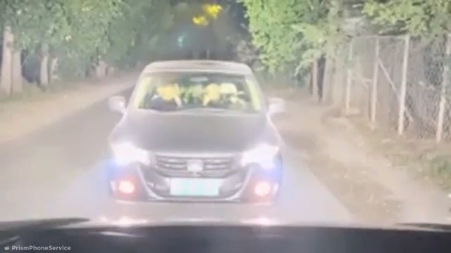 Тайный код дорожного хаоса: разгадываем логику идиота за рулём🫣#водитель #дорога #машина #ав