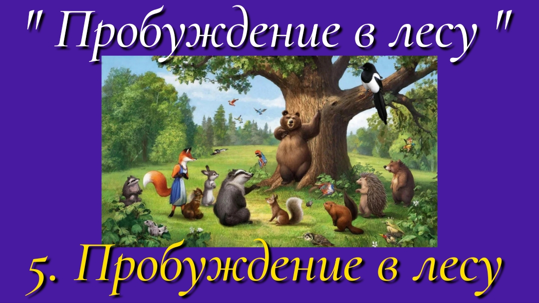 5. Пробуждение в лесу