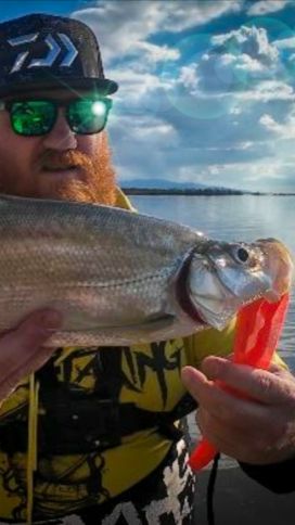 Река Амур РАЗДАЁТ ! 🎣 Рыбалка на набережной Хабаровска 2026