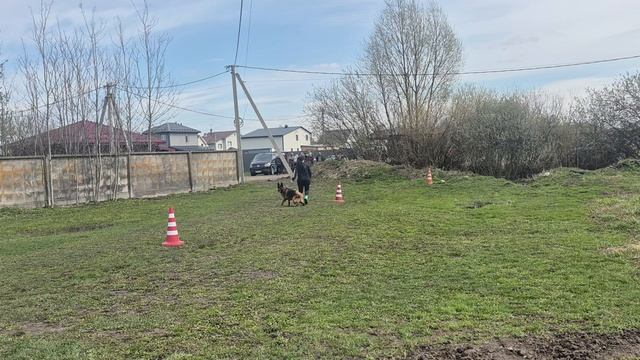 7.  выражено/пож НАДЮХА ИЗ НОВОЙ СИБИРИ (Negus Karil*S Alan – Рагнара из Новой Сибири)